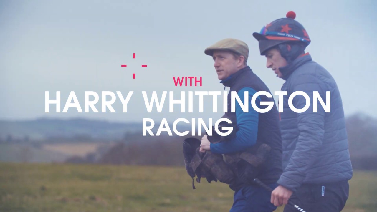 Last Day of School | Harry Whittington Racing | Cheltenham Festival ...