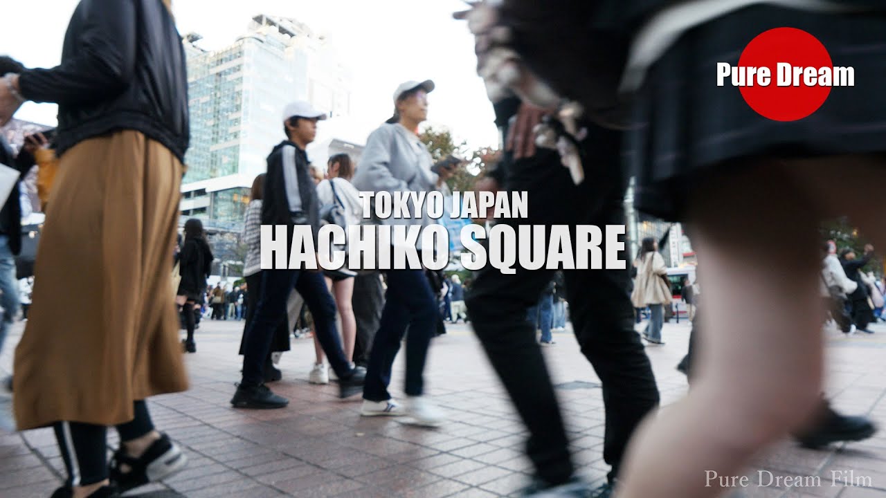 HACHIKO SQUARE NOVEMBER 7, 2024. T1602 JP - YouTube
