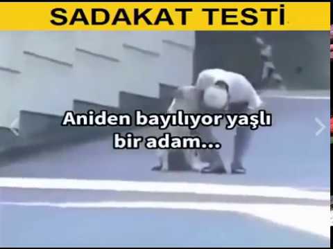 KÖPEK İÇİN YAPILAN SADAKAT TESTİ