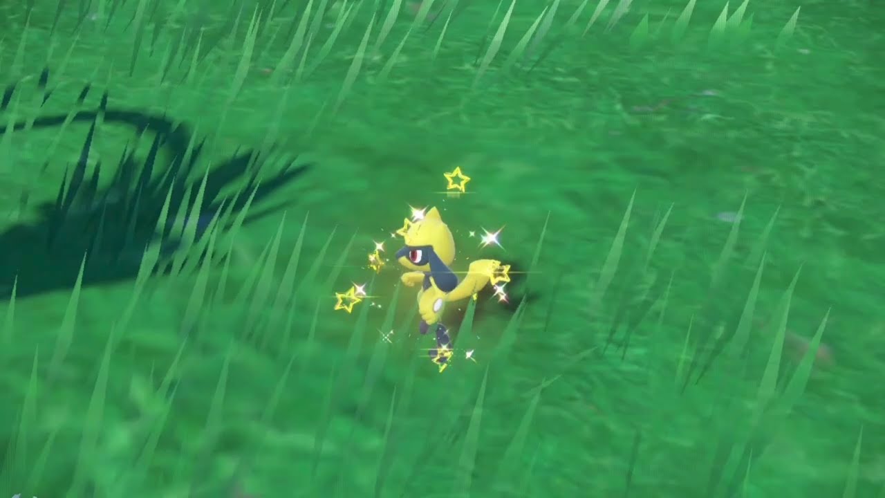 Random Shiny Riolu! | Pokémon Scarlet and Violet - YouTube