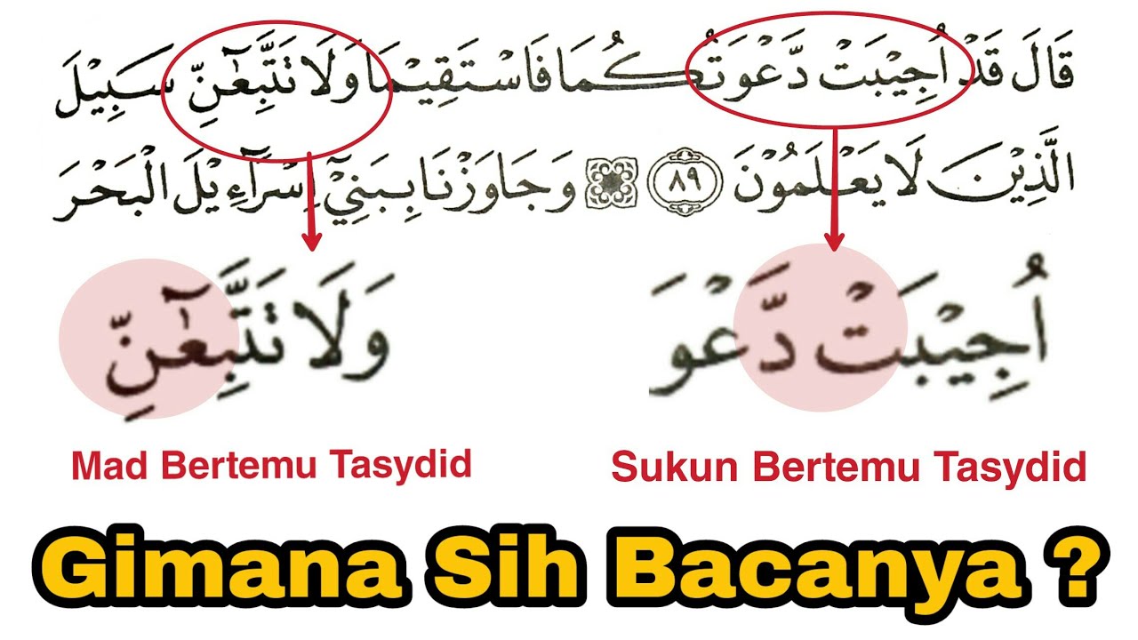 Hati-Hati | Ada Mad Bertemu Tasydid dan Sukun Bertemu Tasydid | Cara ...