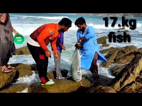 17 kg big gt fish hunting with big jig hand fishing. #jiwani - YouTube