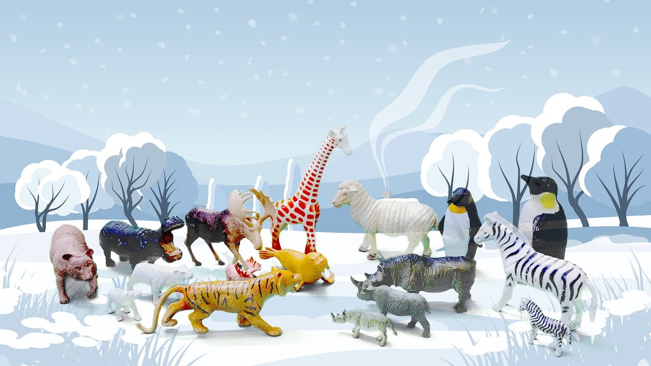Wild Animals TOY, Zebra, Moose, Giraffe, Bear, Hippopotamus, Rhinoceros ...