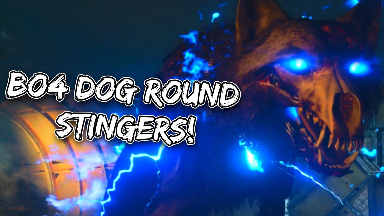 COD Zombies: Black Ops 4 Dog Round Stingers - YouTube