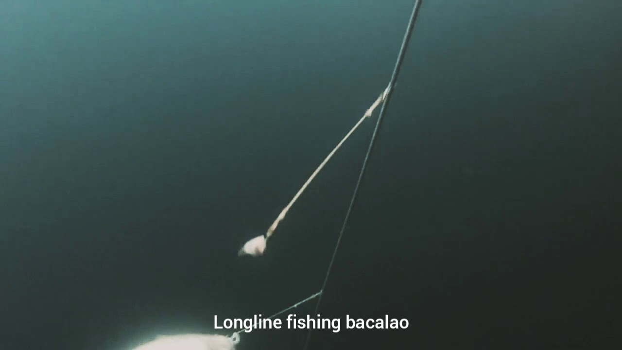 Fishing Longline | Kapal Longline Bacalao | Fishing COD Bering Sea and ...