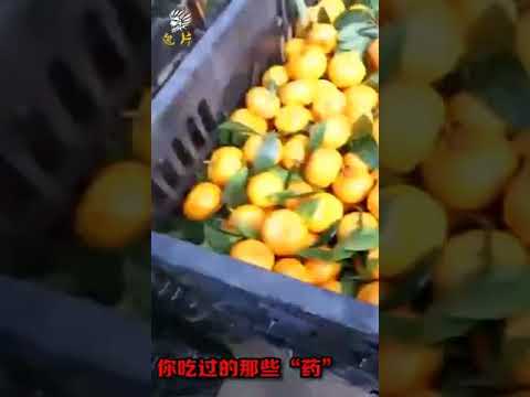 Çox maraqlı vidyo.! İnsanlar baxın və diqqətli olun. #3D смотрите и битти внимательно.!