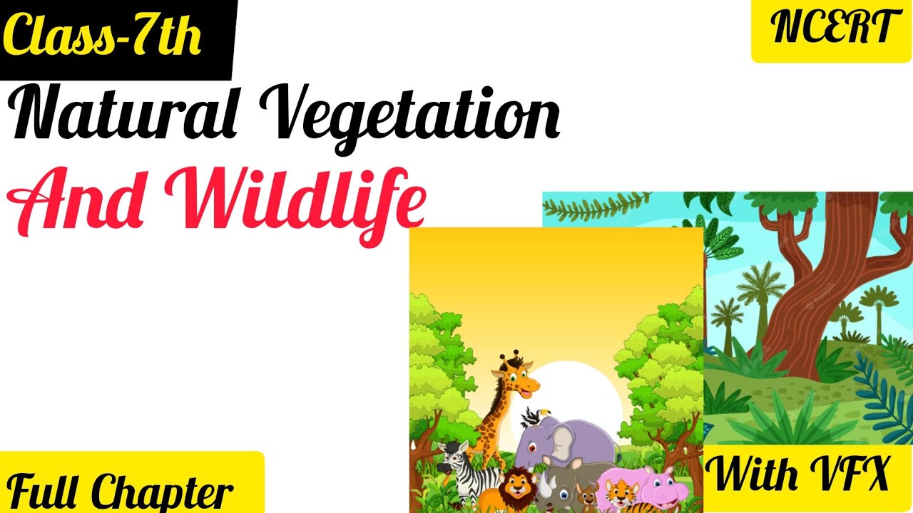 Natural Vegetation And Wildlife Full Chapter Class 7th Geography #cbse ...