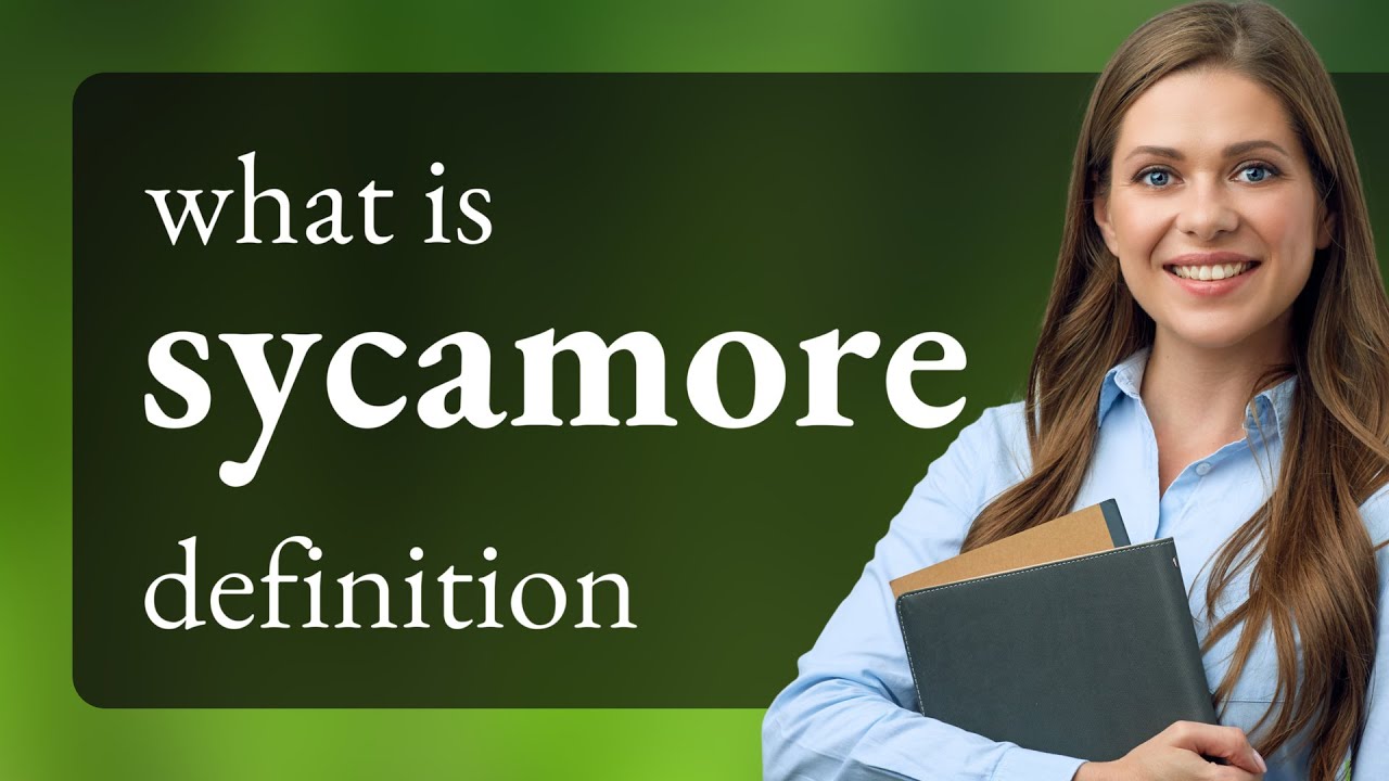 Sycamore • what is SYCAMORE meaning - YouTube