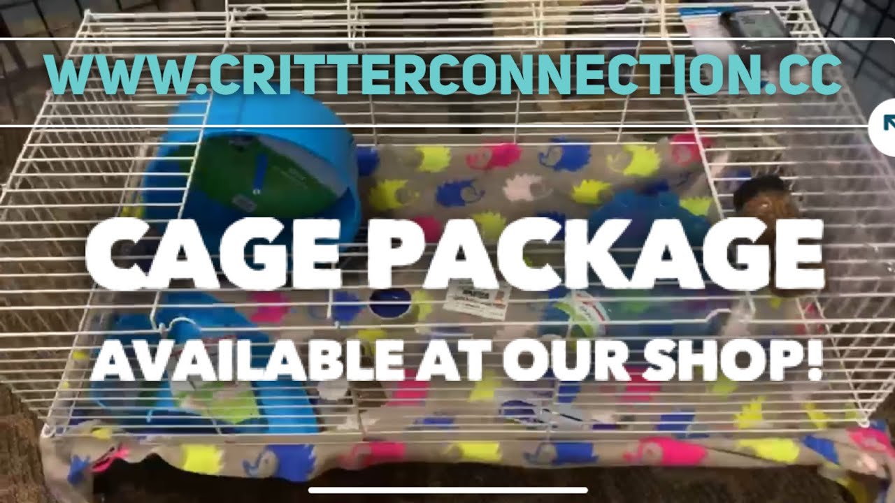 Our popular cage package | Available at our shop - YouTube