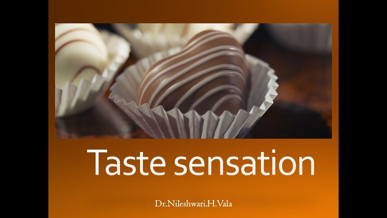 TASTE SENSATION PART - 1 - YouTube