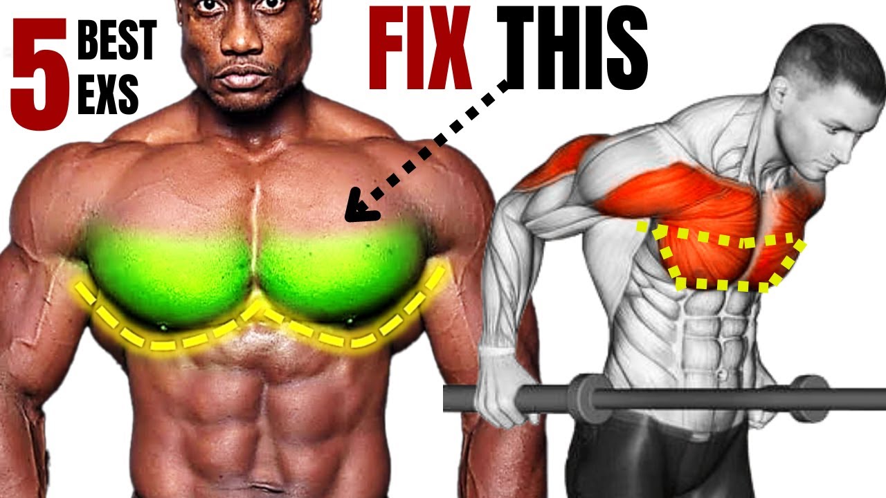 5 BEST LOWER CHEST WORKOUT AT GYM / Meilleurs exs Musculation pour le ...