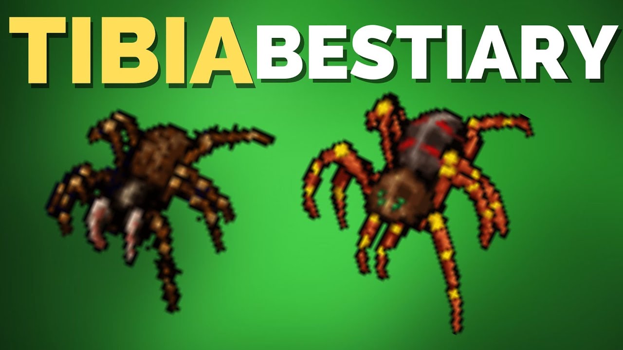 TIBIA BESTIARY GIANT SPIDER GS, TARANTULA - YALAHAR. - YouTube