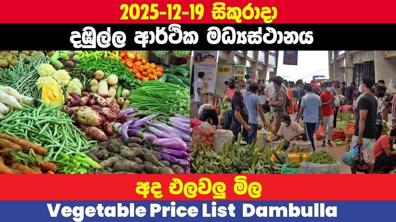 2025.12.19|දඹුල්ල එළවලු මිල |Dambulla Vegetable Price Today|Ada ...