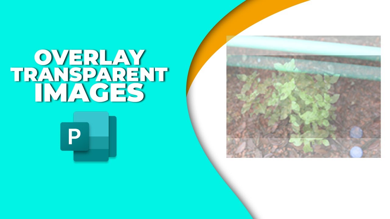 How to overlay transparent images in Publisher - YouTube