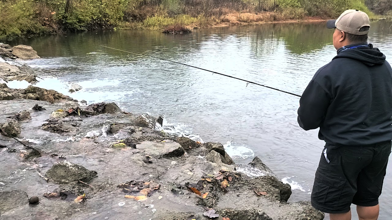 Walleye In Saline Creek Perryville Missouri Pom Mahathath - YouTube