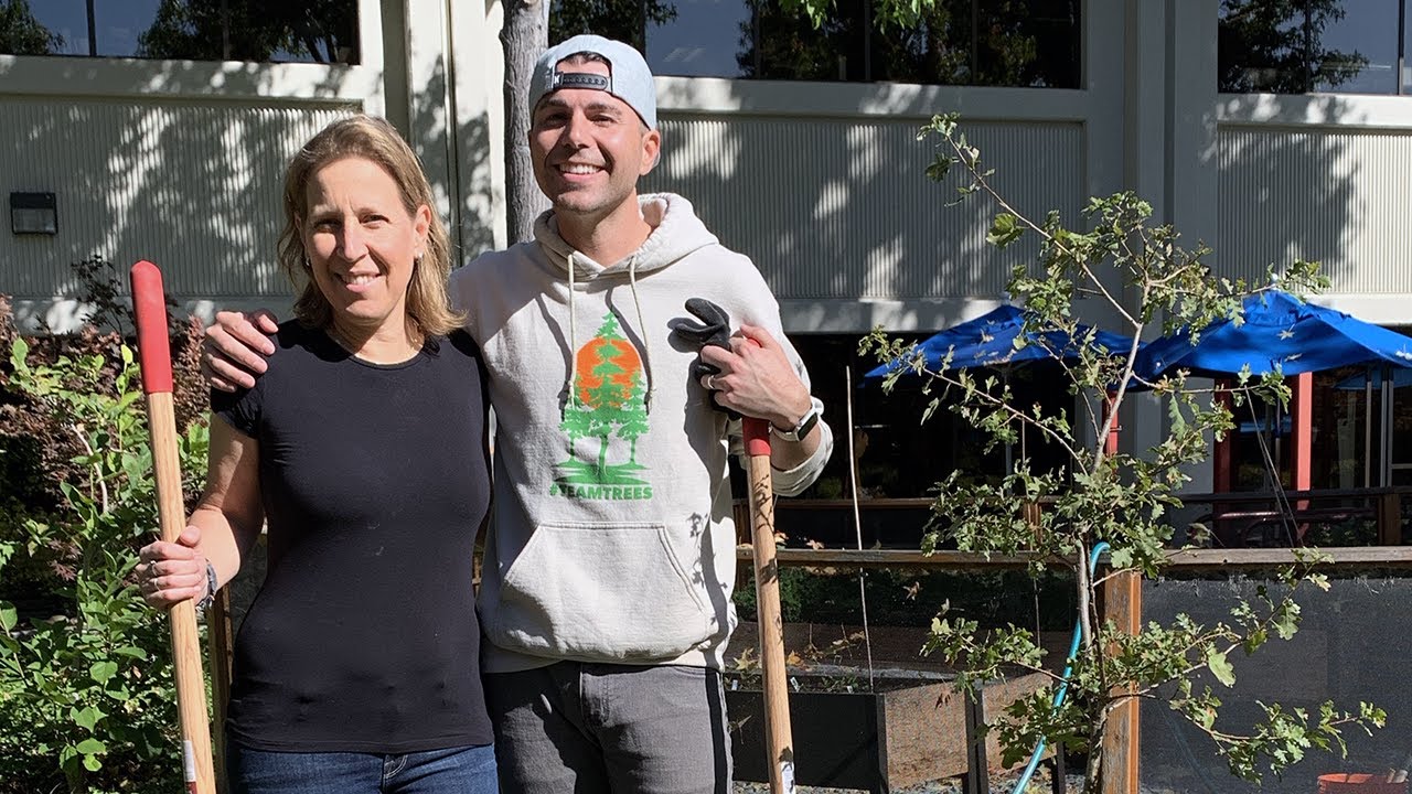 Planting a tree for #TeamTrees (ft. Mark Rober) - YouTube