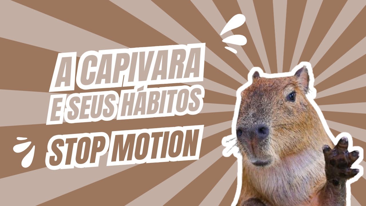 A Capivara e seus Hábitos ‐ Stop Motion - YouTube