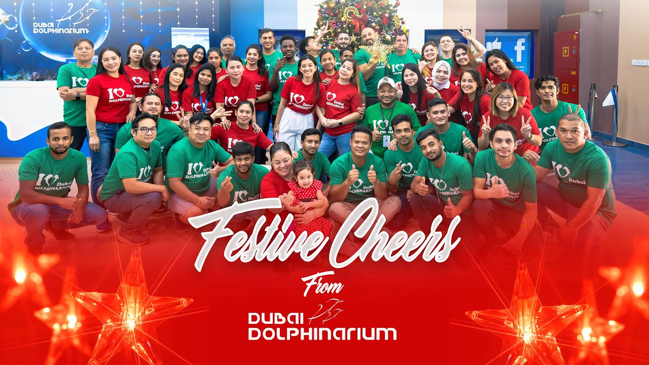 Festive Splash at Dubai Dolphinarium | Must-Visit Winter Attraction in ...