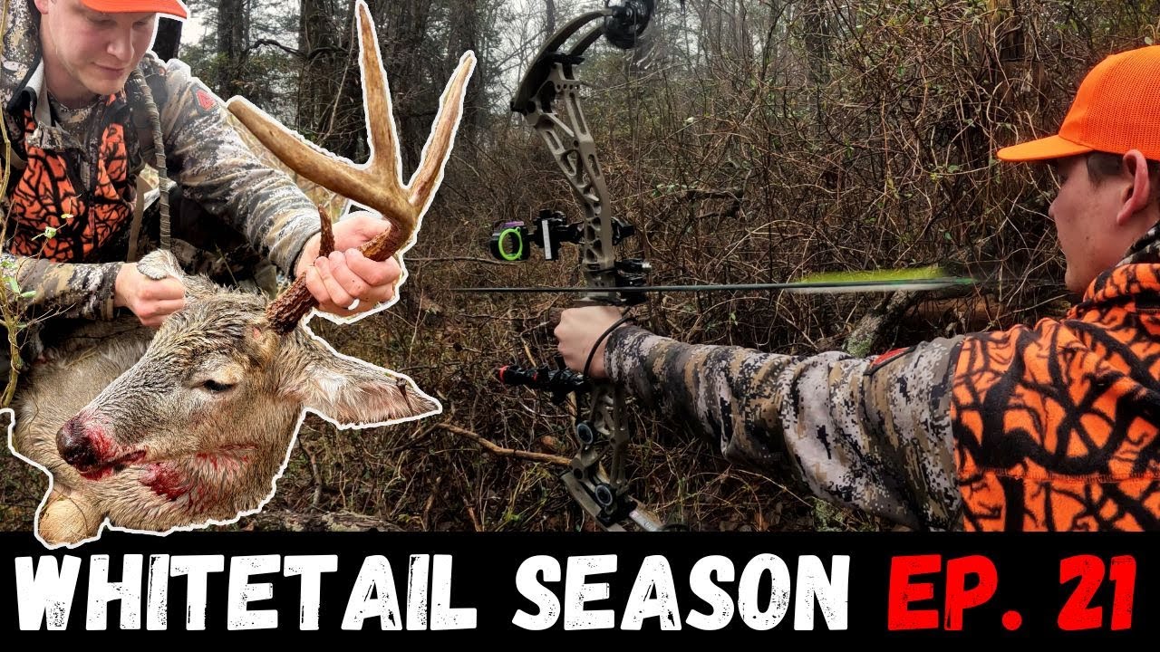 CRAZY ARCHERY DEER DRIVES! (Big Buck shot at 10 Yards!) - YouTube