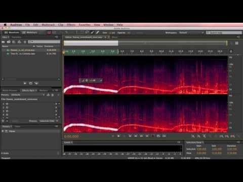 Videmy - Online Video Eğitim