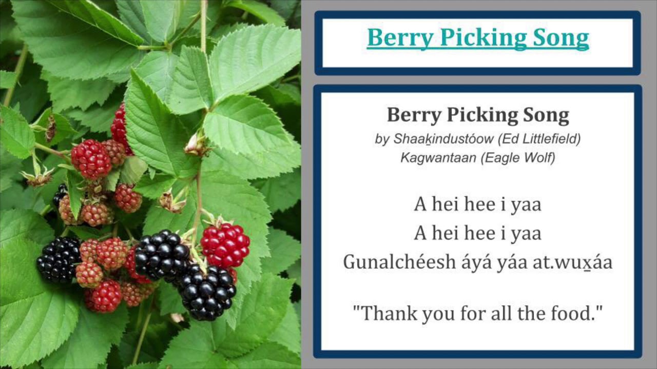 Berry Picking Song - YouTube