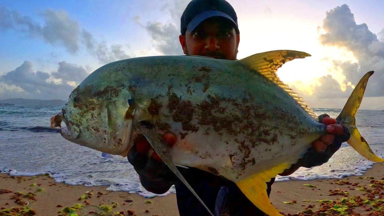 EPIC BEACH FISHING IN THE CARIBBEAN! CATCHING MONSTERS IN THE SURF IN ...