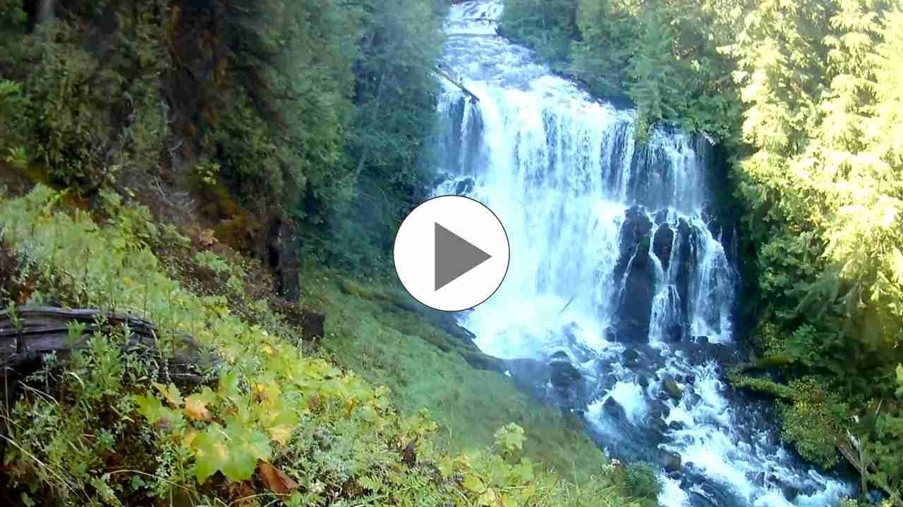 Gooch Falls in Oregon - Adventure Guru - YouTube
