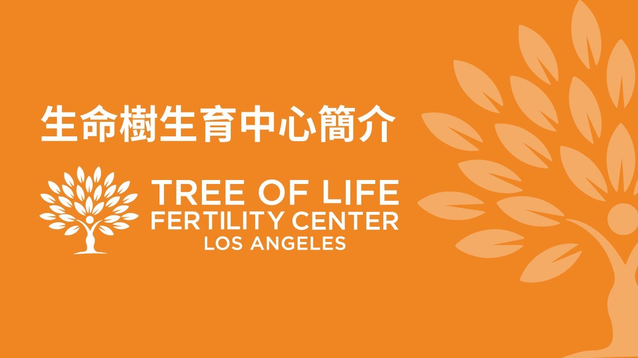 生命樹生育中心簡介 / Tree of Life Center Introduction - YouTube