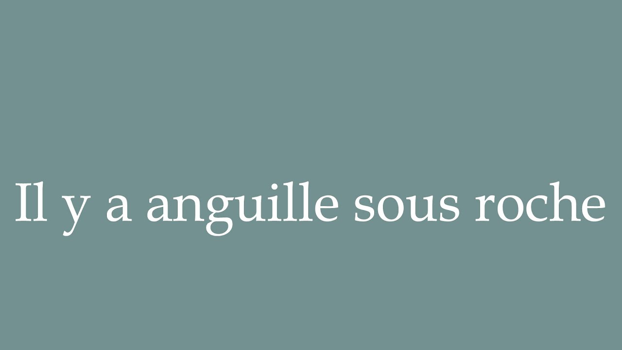 How to Pronounce ''Il y a anguille sous roche'' (I smell a rat ...