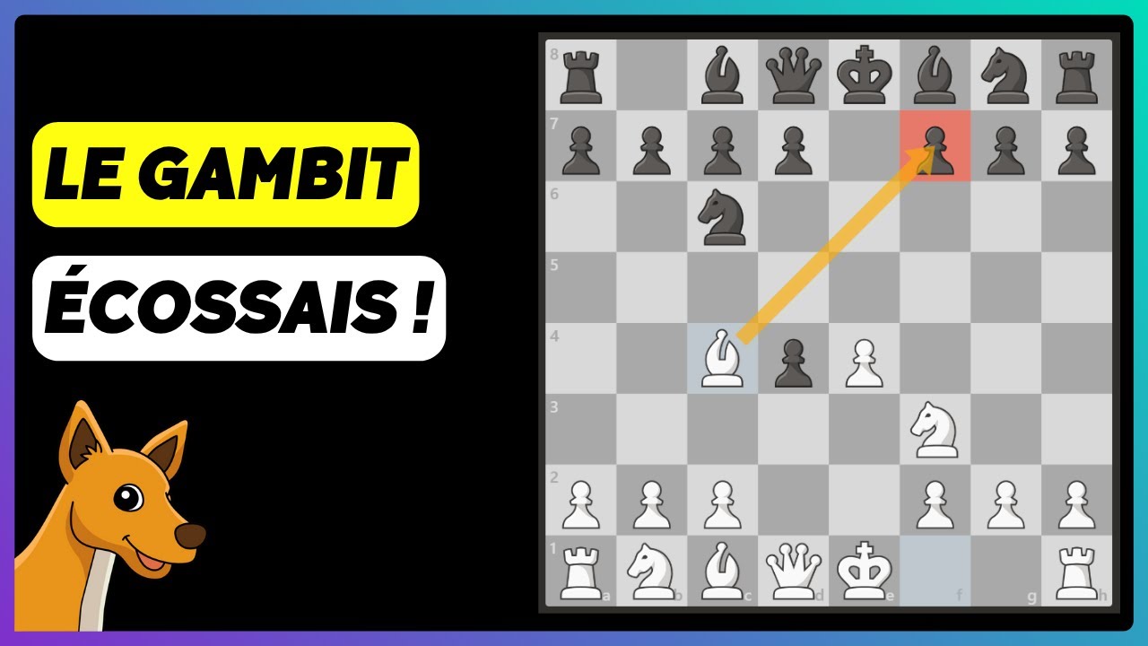 Le GAMBIT ÉCOSSAIS aux Échecs : Une Ouverture Simple et Ultra Agressive ...