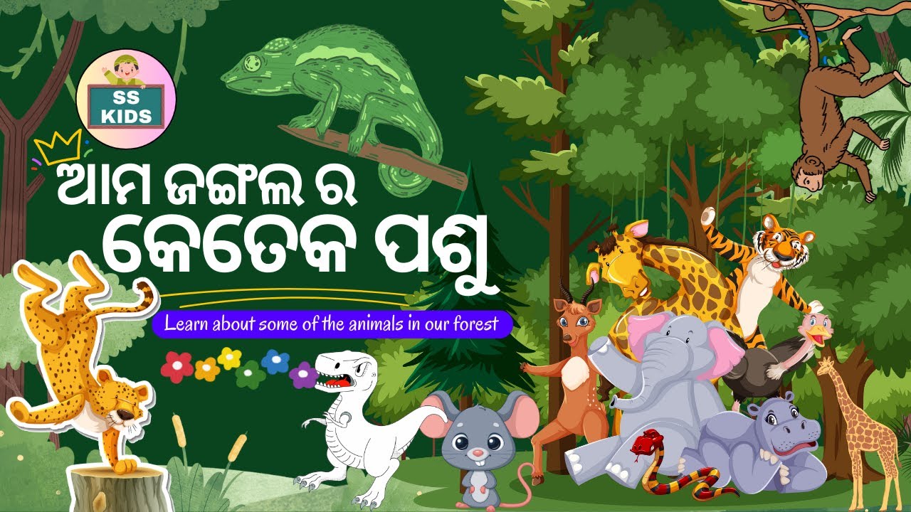 ଜଙ୍ଗଲର କେତେକ ପଶୁ Odia / Children Learn Forest Animal Video and Names ...