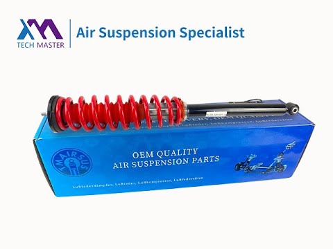 Tech Master Mercedes Benz W220 Air Spring to Coil Spring Conversion Kit ...