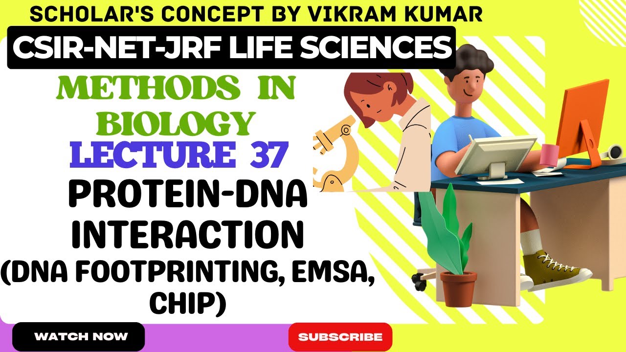 Protein-DNA Interaction (DNA Footprinting, EMSA, ChiP) | Methods in ...