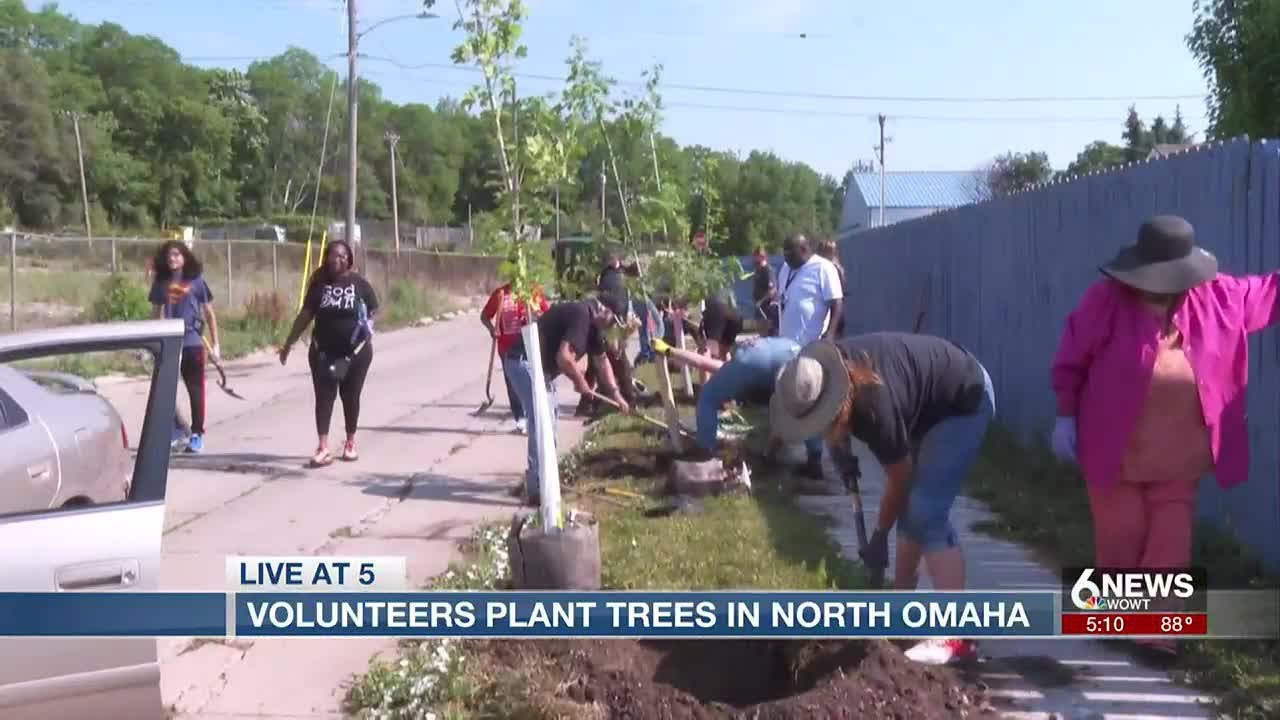 Volunteers plant trees in North Omaha - YouTube