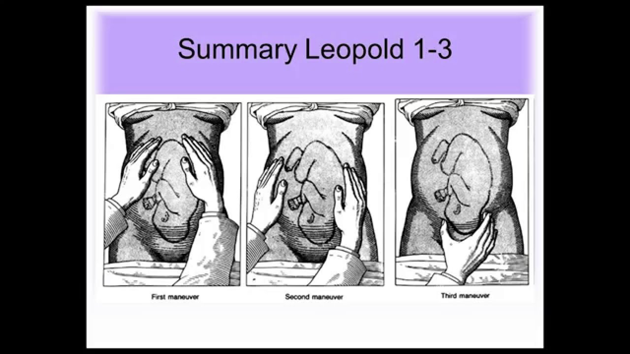 DAROGA Essential Clinical skills: blood pressure, fundal height (=part ...