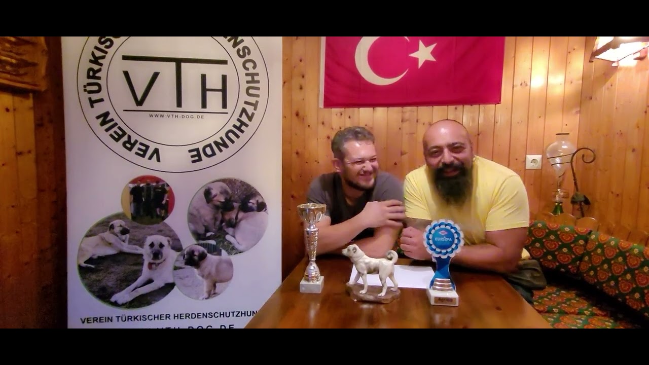 Verein Türkischer Herdenschutzhunde VTH - YouTube