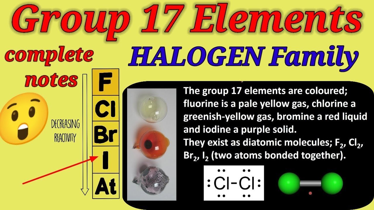 group 17 | halogen family | general characteristics (chemical and ...
