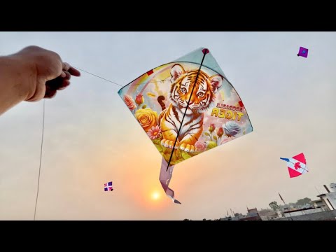 2 Panni Ki Patang Loot Li | Kite Flying | Kite Cutting | Kite Looting