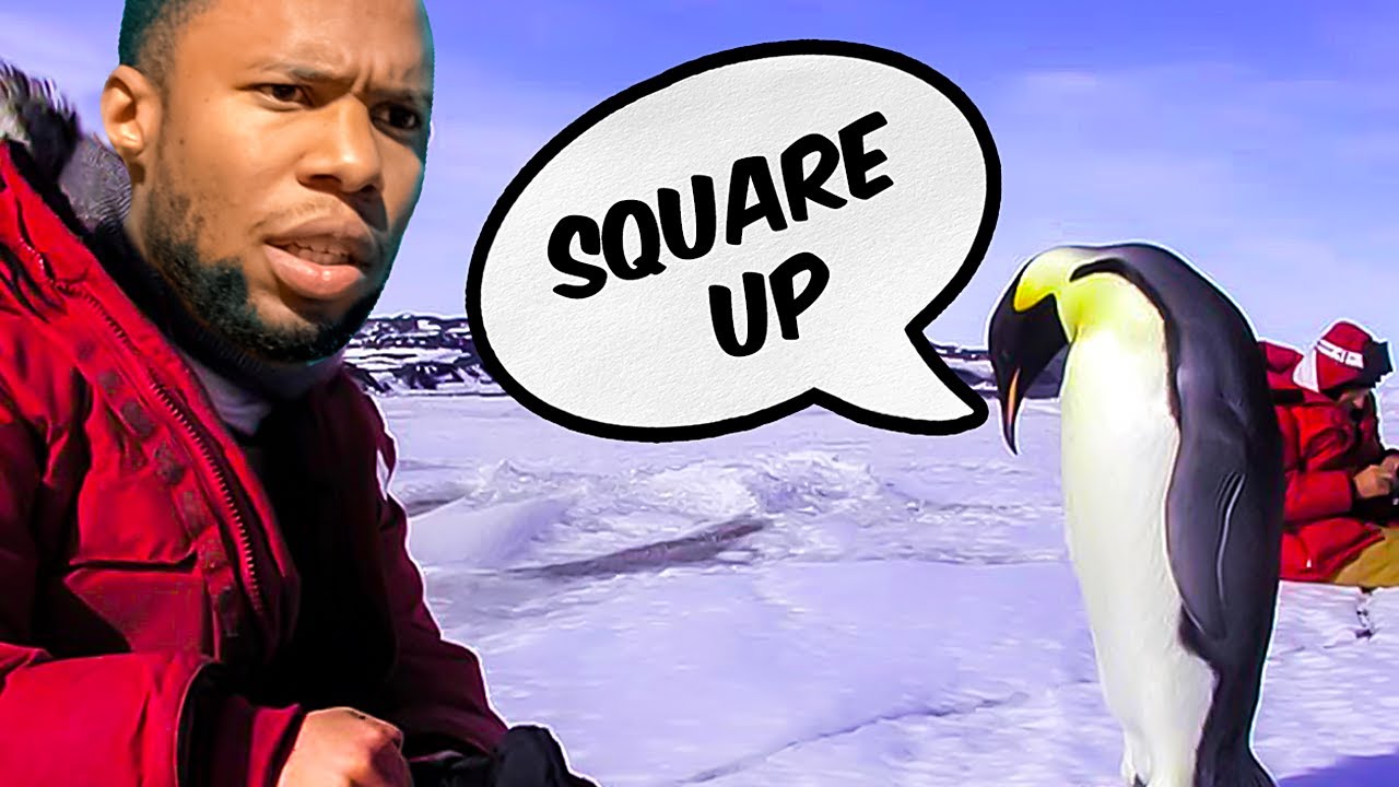 RDC Desmond Says He'd Beat up a Penguin - YouTube