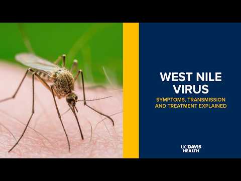 West Nile Virus: Symptoms, Risks and Prevention | UC Davis Health