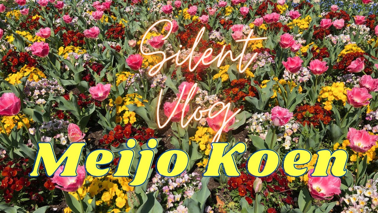 Walking Tour at Meijo Park Beside Nagoya Castle | Silent Vlog | - YouTube