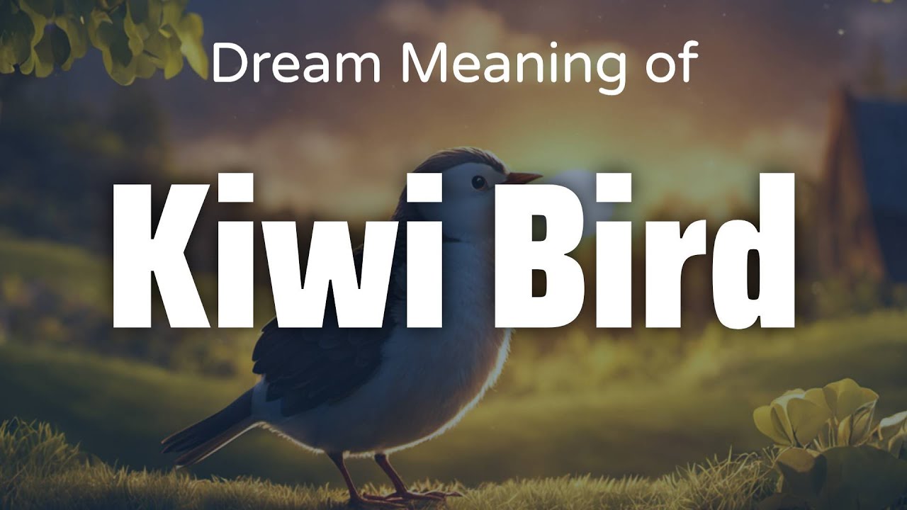 Kiwi Bird Dream Meaning & Symbolism | Interpretation Psychology - YouTube
