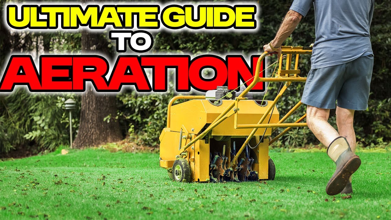 How to Aerate Your Lawn Step-by-Step Core Aeration Explained - YouTube