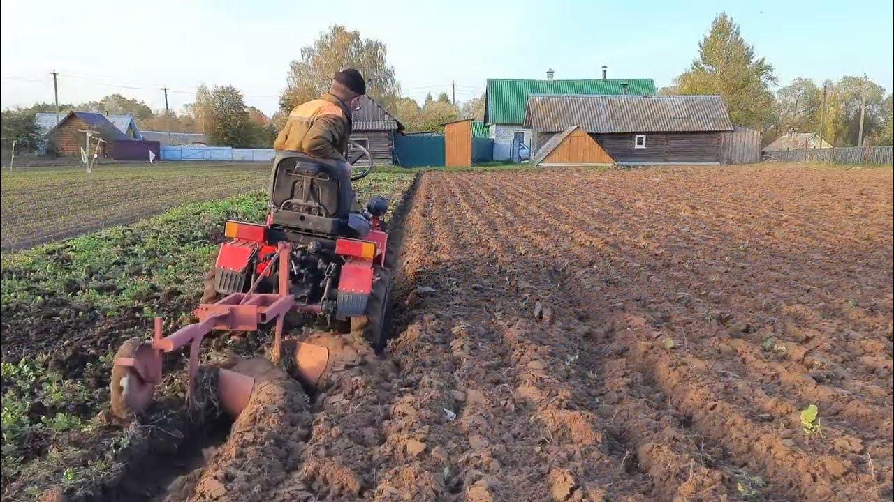 Мтз-132Н. Вспашка сидератов. - YouTube