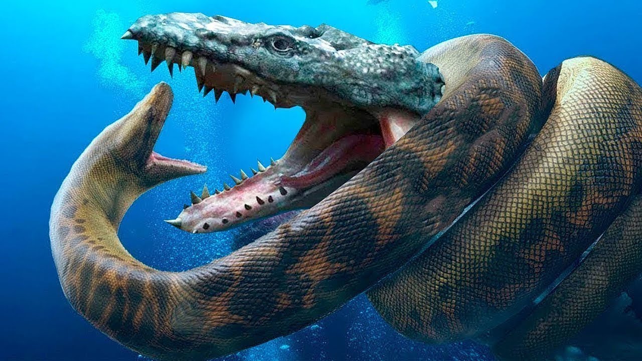 10 Animaux Terrifiants Dont Vous Serez Heureux Qu'ils Soient Éteints ...