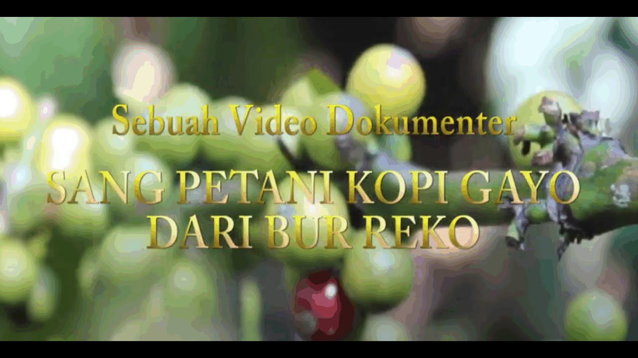 Short Documentary - Kopi gayo dari Bur Reko, Kabupaten Gayo lues. - YouTube