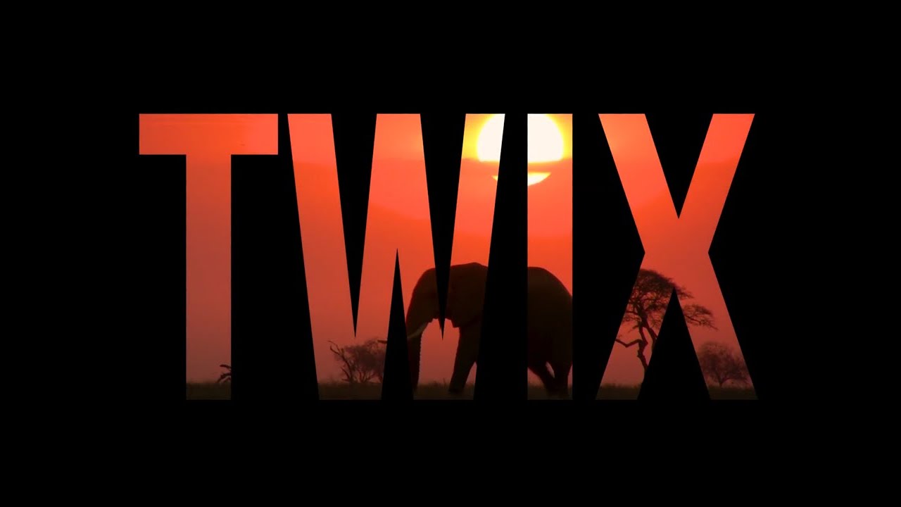 TWIX - the tool helping global enforcement fight wildlife crime - YouTube