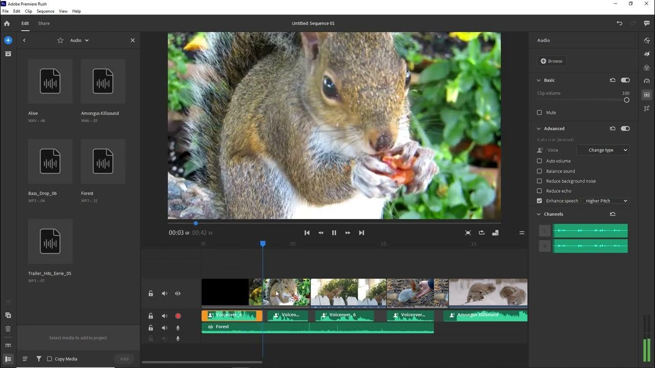 Adobe Rush Creating Your First Project - YouTube