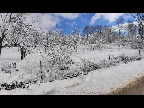 Selimiye köyü armutlu Yalova