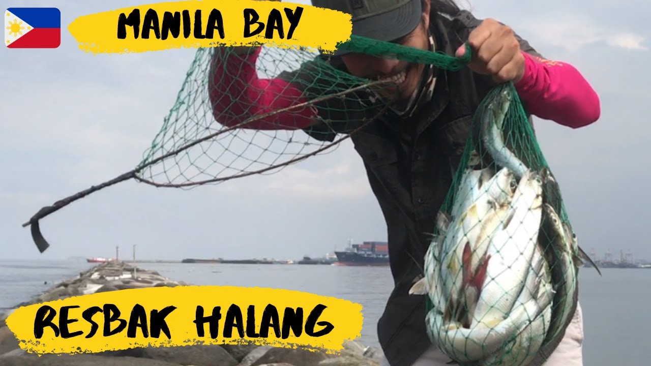 Manila Bay Fishing, Harvest | Fishing in the Philippines | Ep25 - YouTube